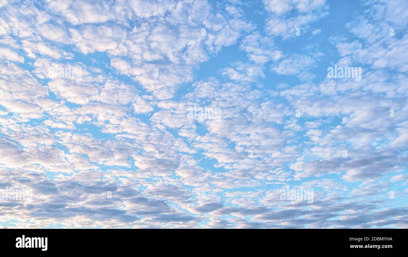 Altocumulus clouds in the sky. Natural texture and background Stock ...