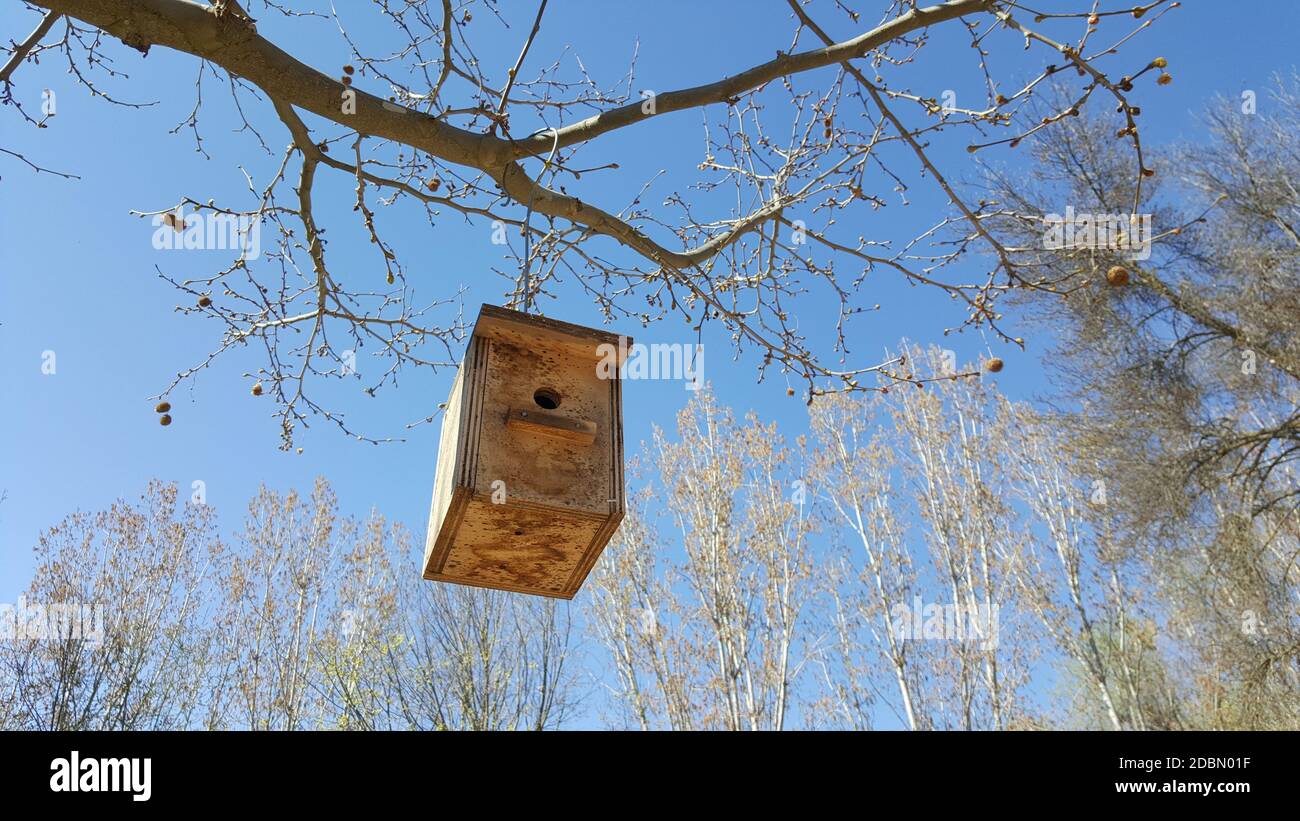 Man building a birdhouse hi-res stock photography and images - Alamy