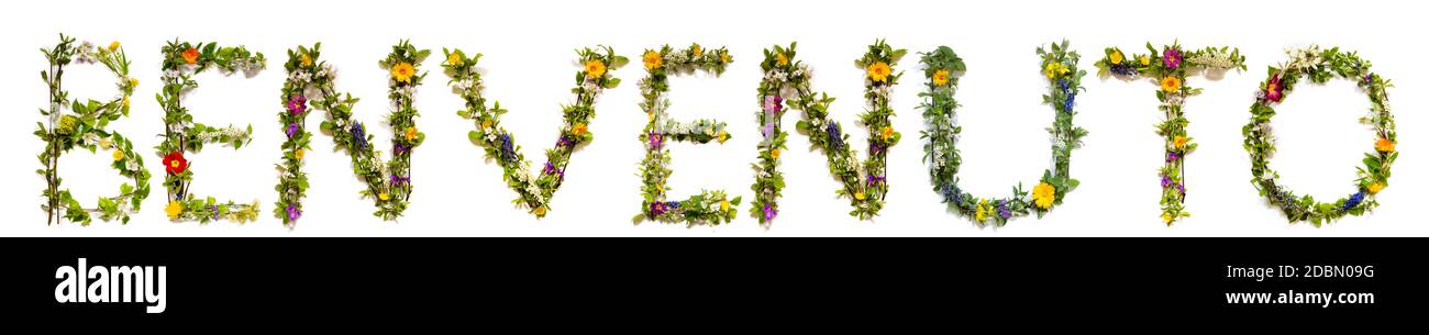 Flower, Branches And Blossom Letter Building Italian Word Benvenuto ...