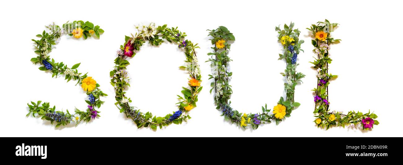 Flower, Branches And Blossom Letter Building English Word Soul. White ...