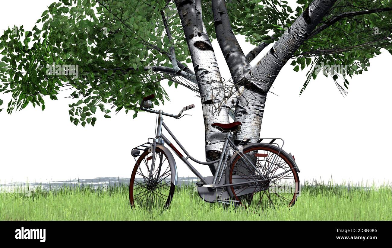Bicycle leaning against the tree - isolated on a white background Stock ...