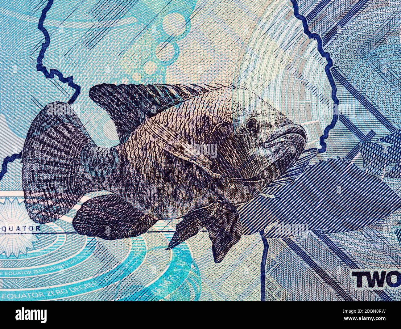 Fish a portrait from Ugandan money Stock Photo - Alamy