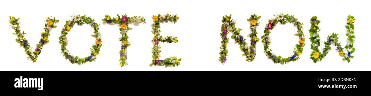 Flower, Branches And Blossom Letter Building English Word Vote Now ...