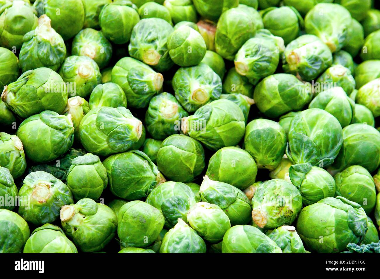 Big pile of organic Brussels sprouts at market Stock Photo - Alamy
