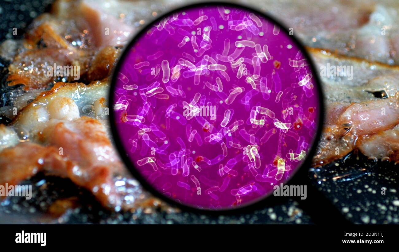 Searching for bacteria on BBQ meat Stock Photo - Alamy