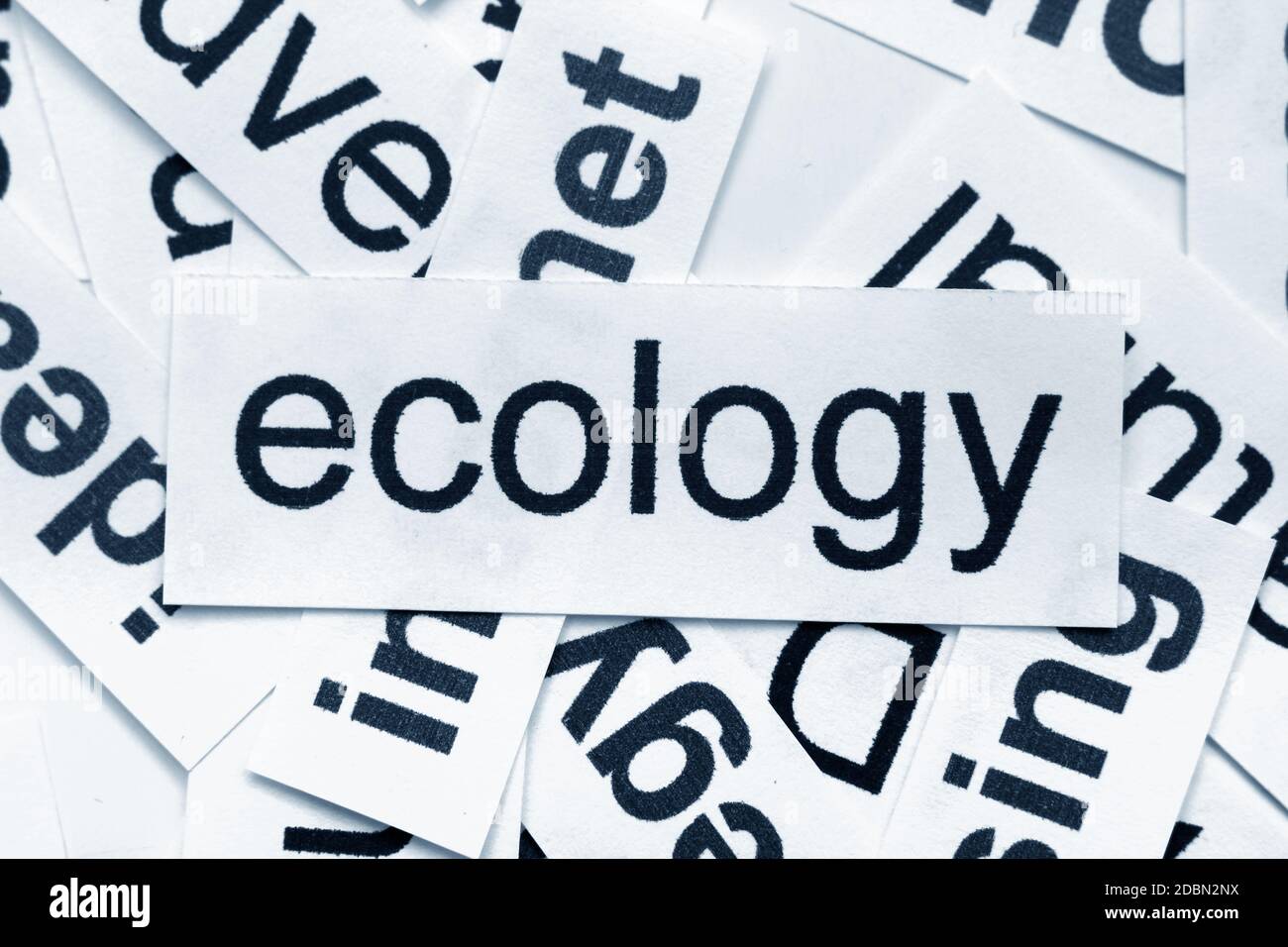 Ecology word cloud Stock Photo - Alamy