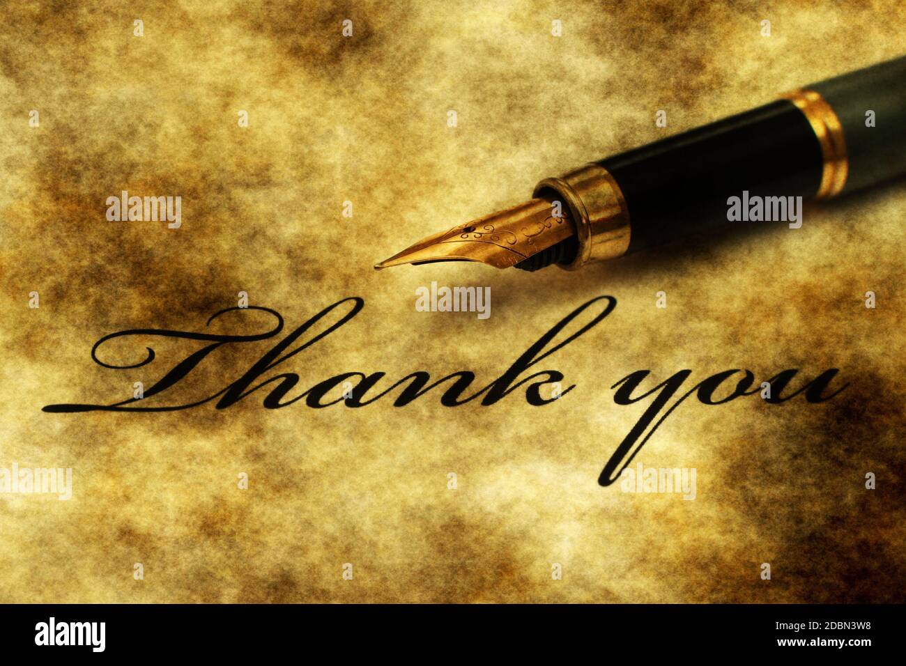 Thank You Note For Pen Gift at Elizabeth Woolsey blog