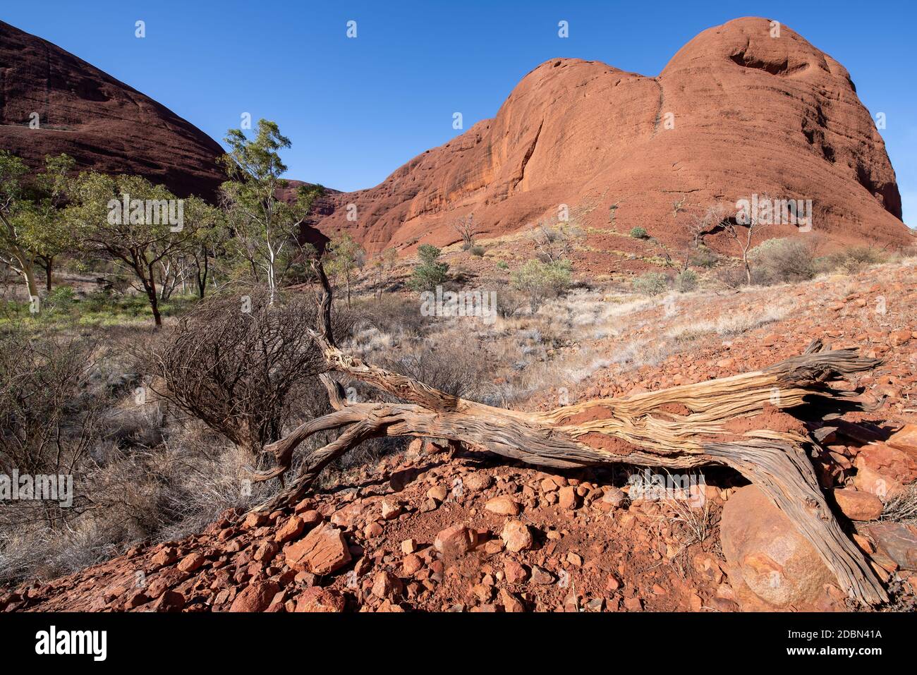 Spectacular Australian landscape near Alice Springs, Northern Territory ...