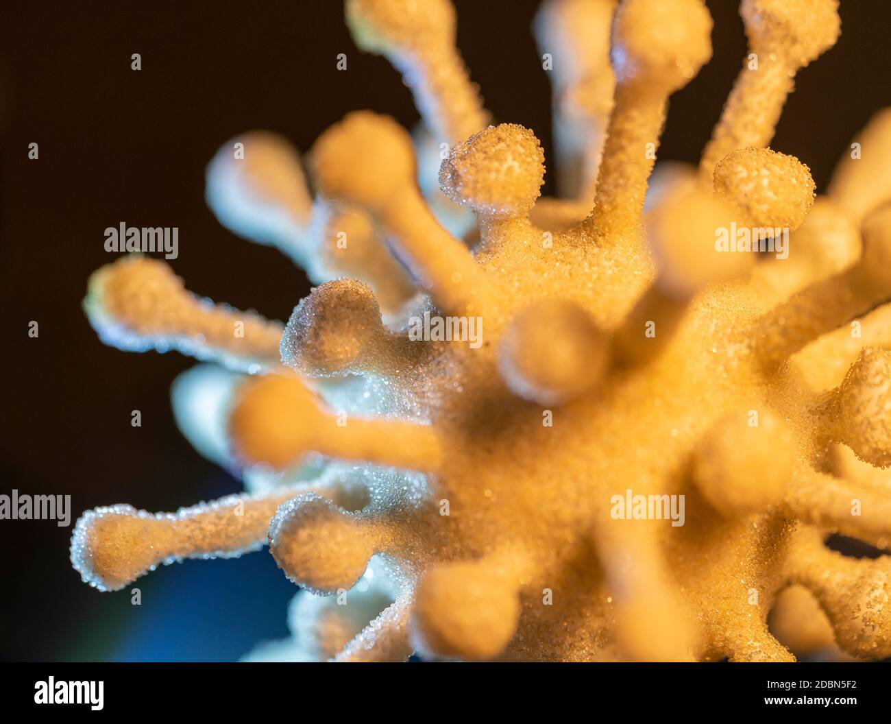 detail of a colorful illuminated symbolic virus in dark back Stock ...