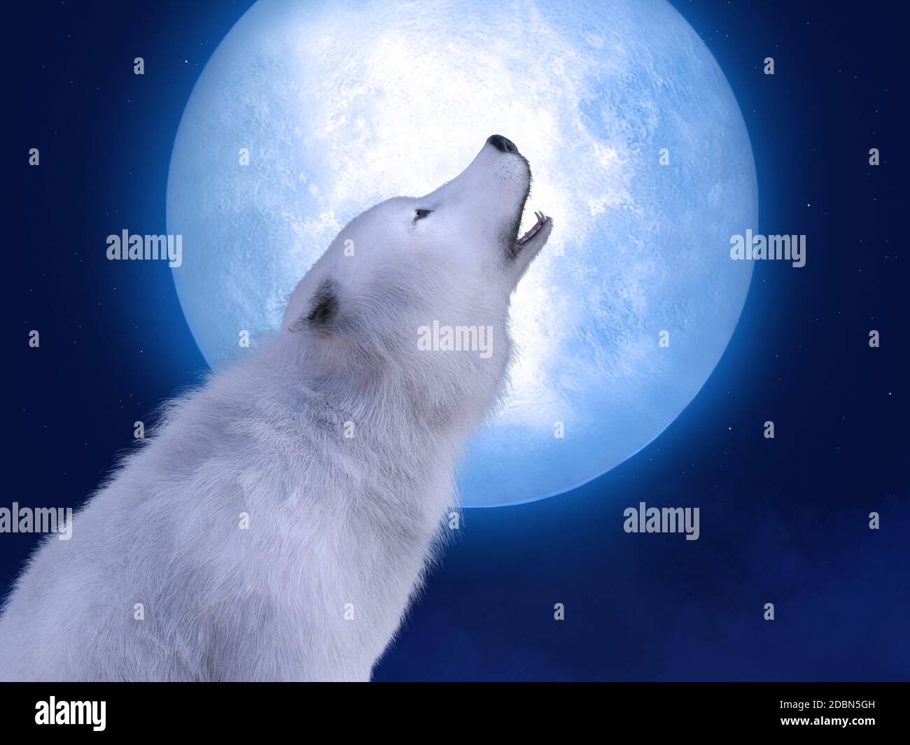 Wolf Howl Moon High Resolution Stock Photography and Images - Alamy