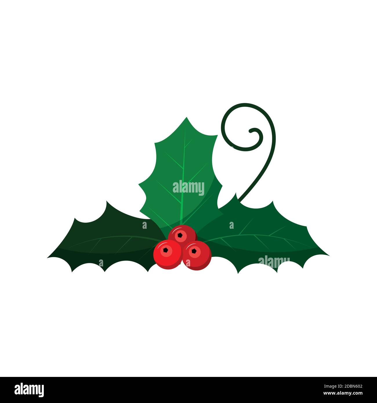 Mistletoe with berry and leaf branch isolated on white background Stock ...