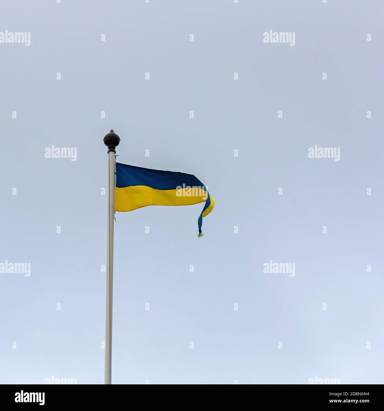 Long Swedish Flag Yellow and Blue at Sky Stock Photo - Alamy