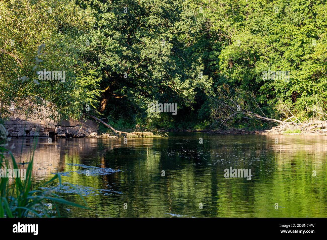 River werra hi-res stock photography and images - Alamy