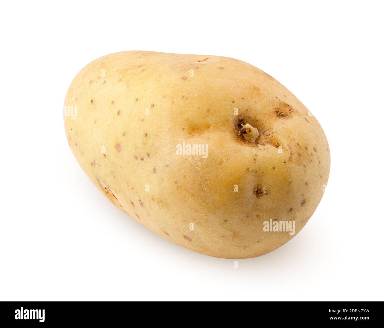 potato, isolated on white background, clipping path, full depth of ...