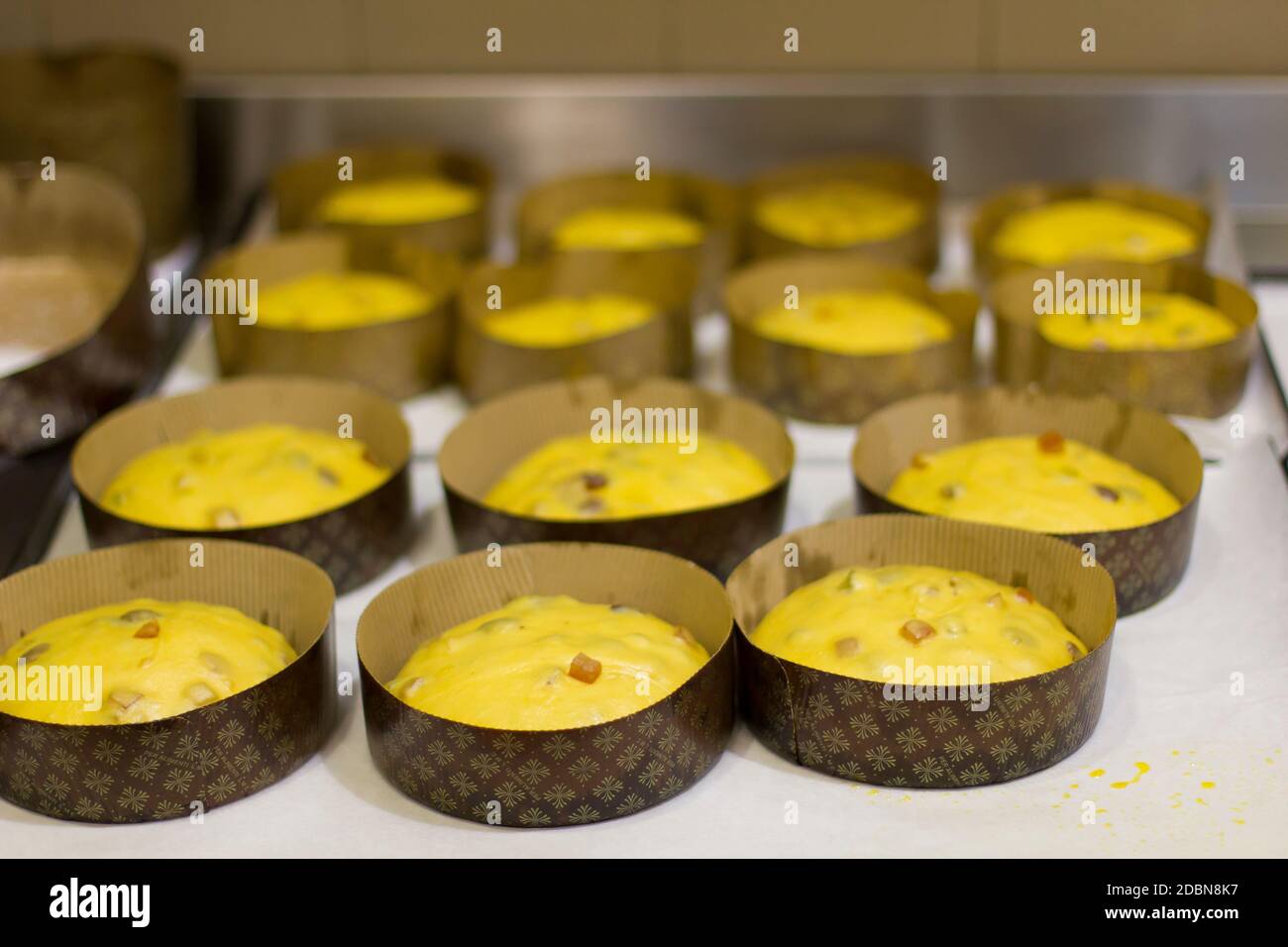 The making of italian traditional Christmas dessert, panettone, made ...