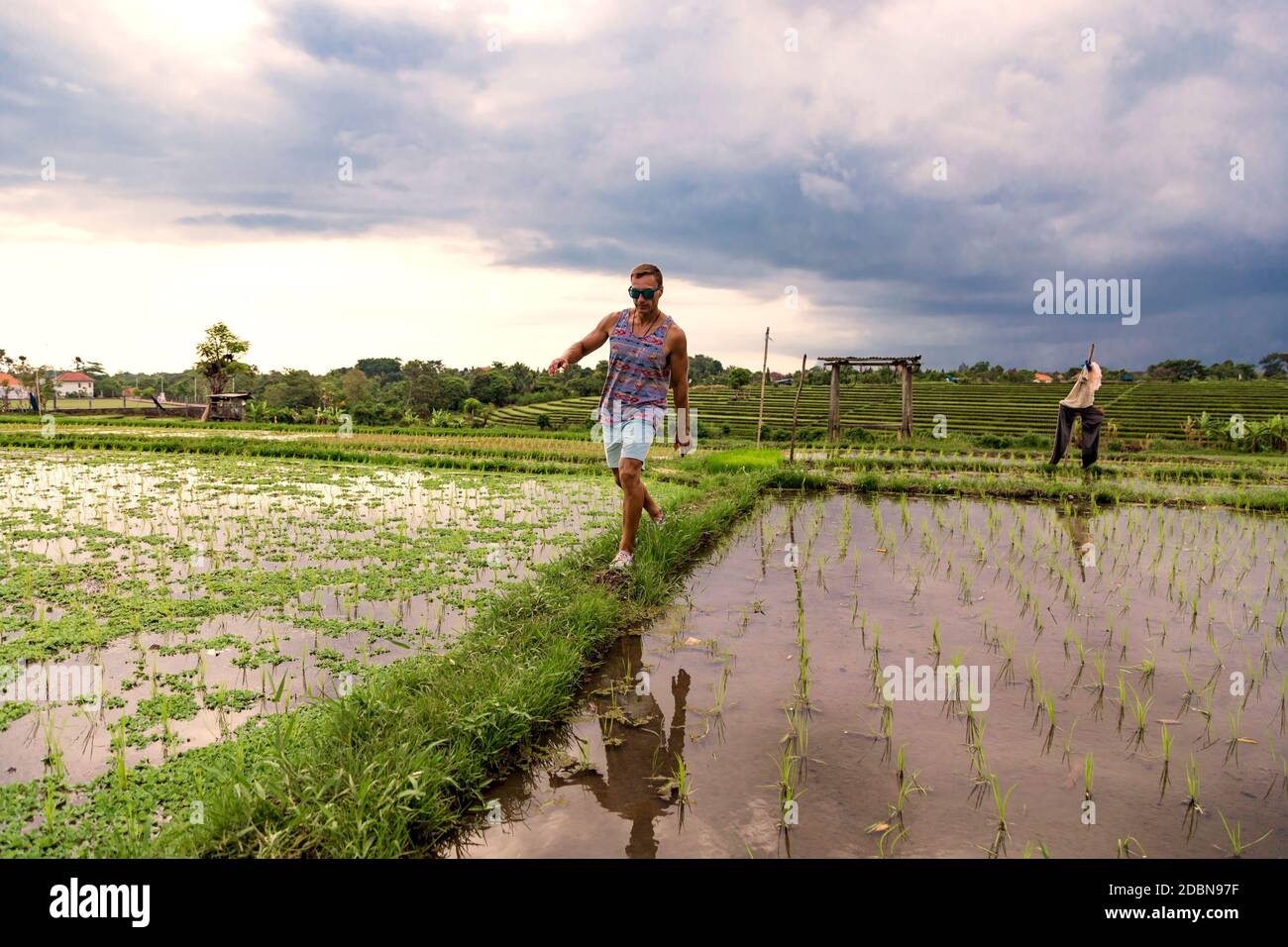 Man walking on strip of grass between rice paddies, Bali, Indonesia ...
