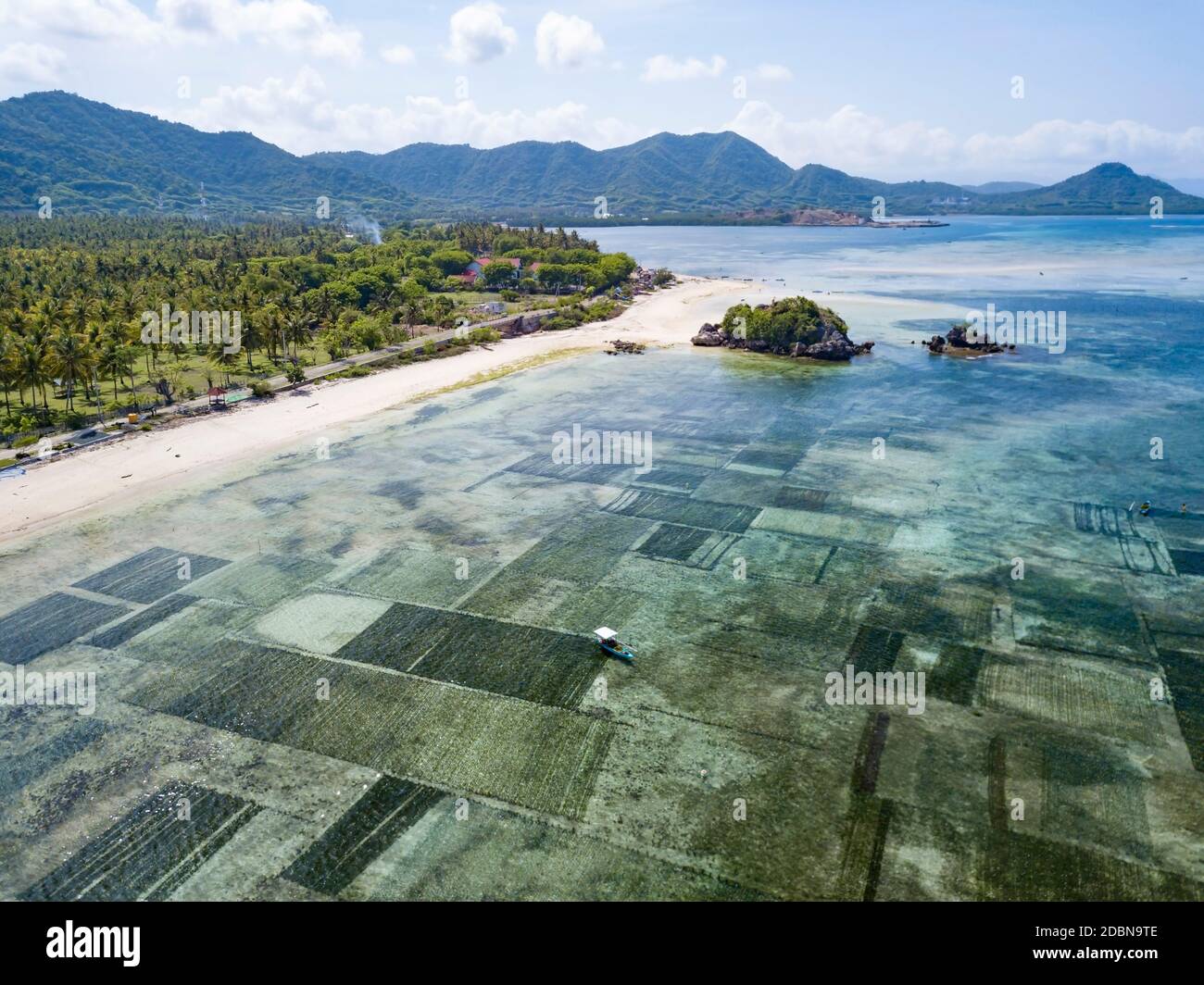 Seaweed farm aerial hi-res stock photography and images - Alamy