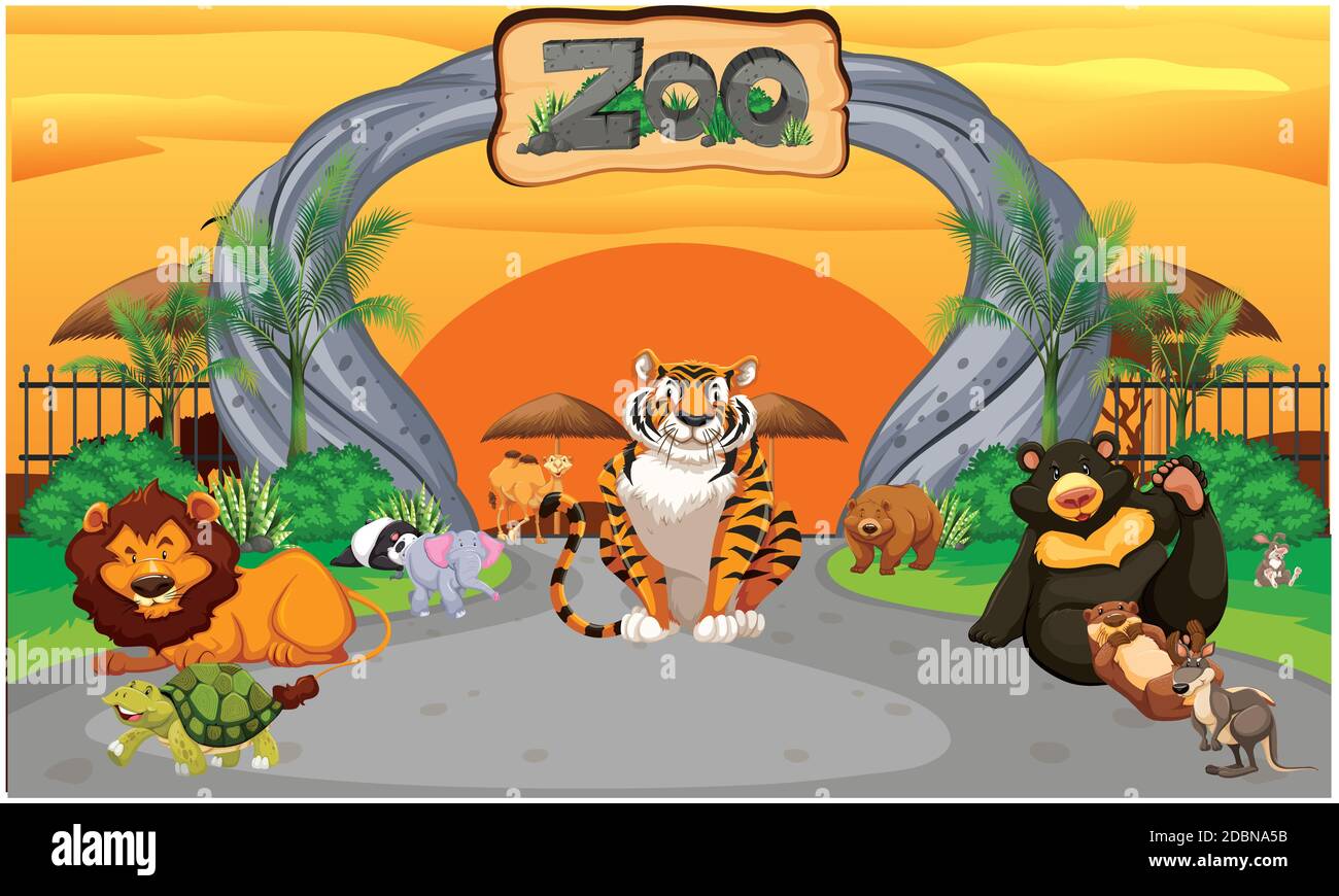 Zoo Animals Together