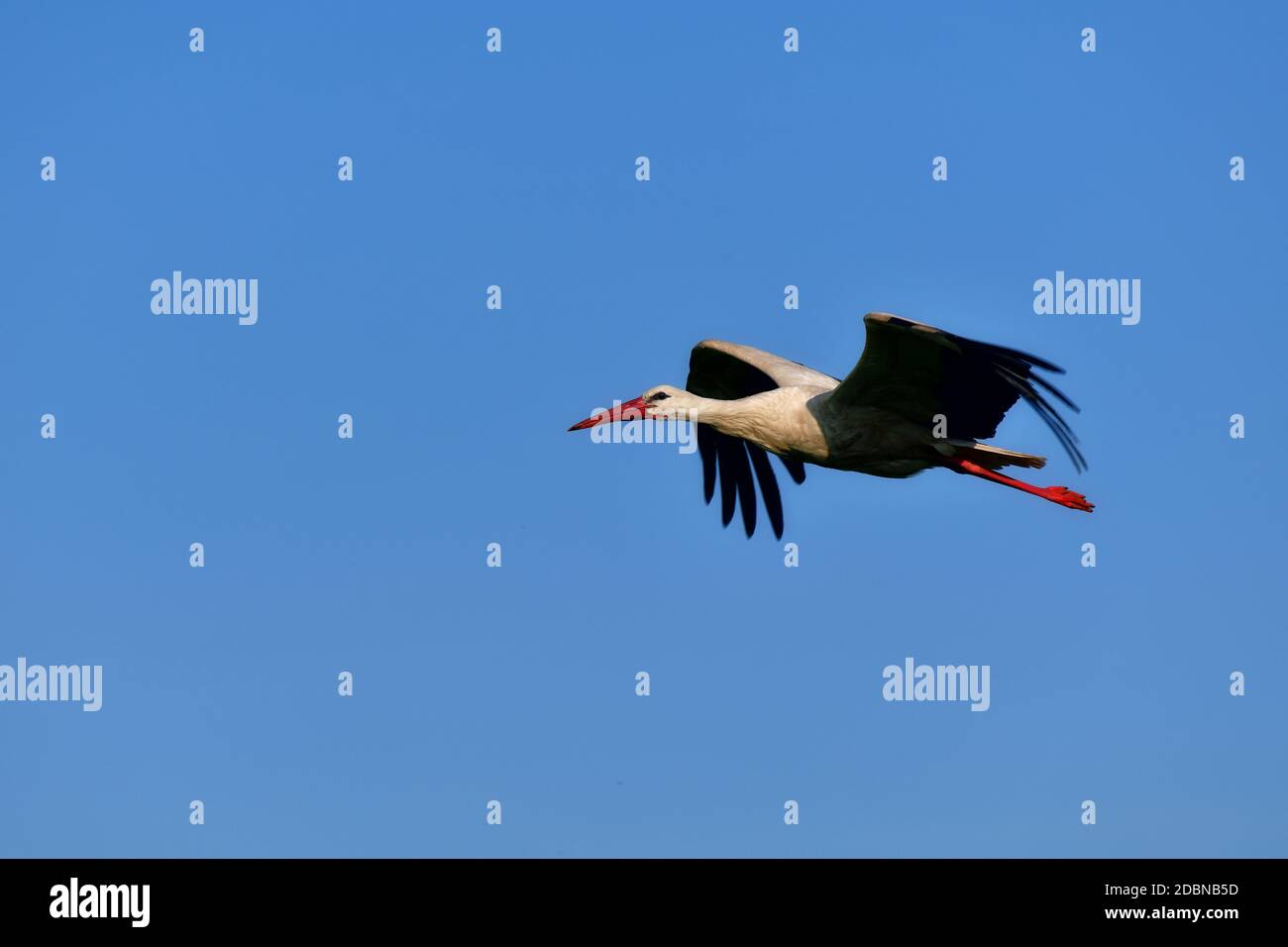 Flying travel hi-res stock photography and images - Alamy