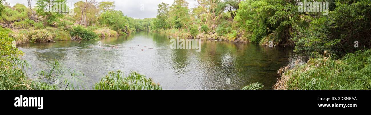 Kenya mzima springs hi-res stock photography and images - Alamy