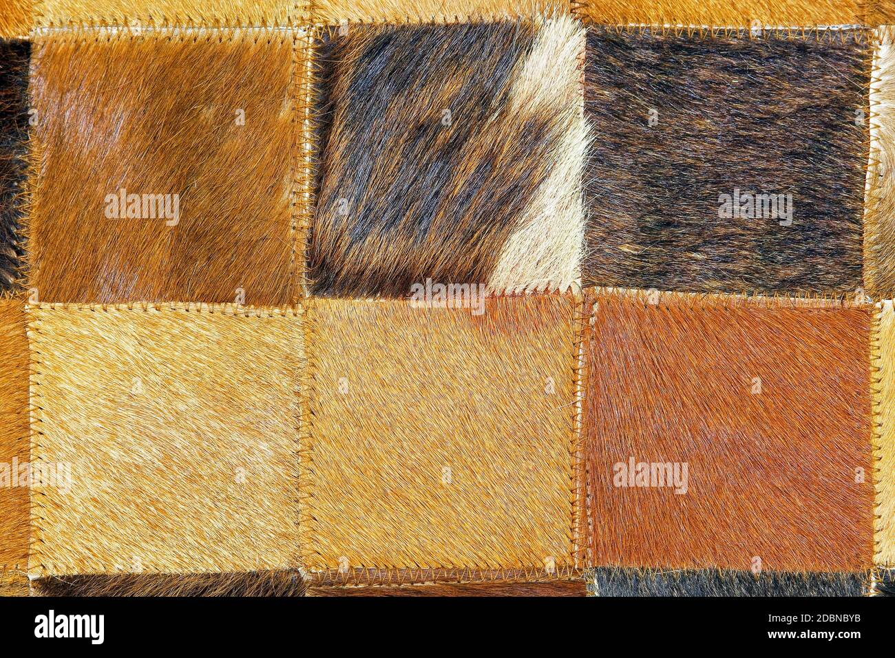 Cow hide texture hi-res stock photography and images - Alamy