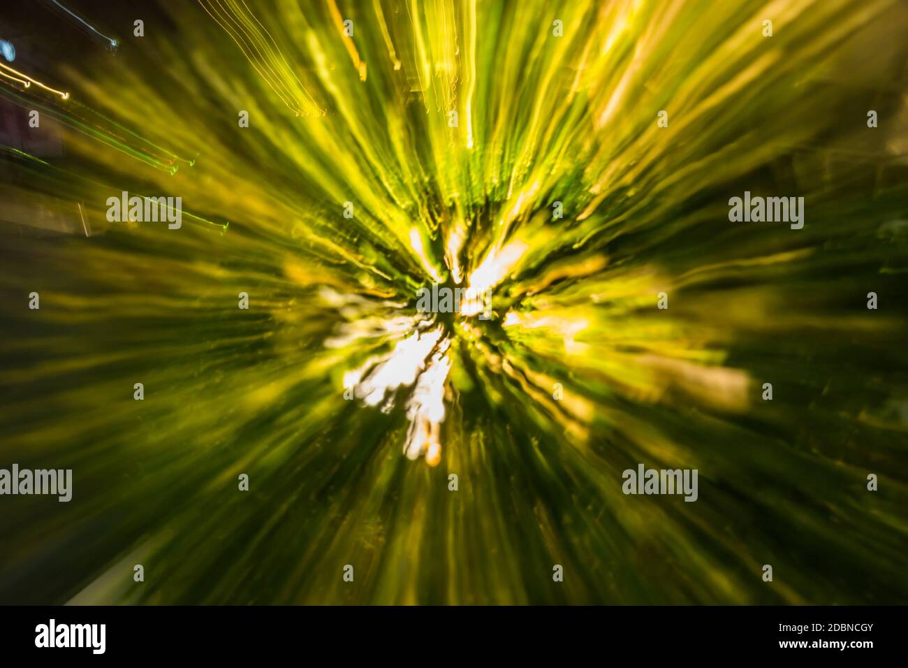 Diffusely hi-res stock photography and images - Alamy