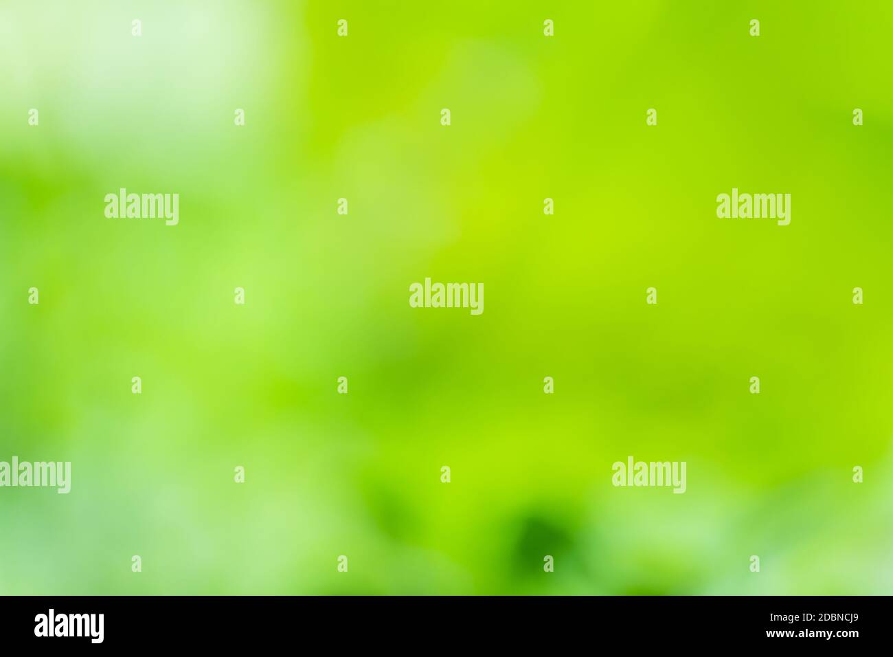 Abstract bokeh and blurred green nature background model is used to ...