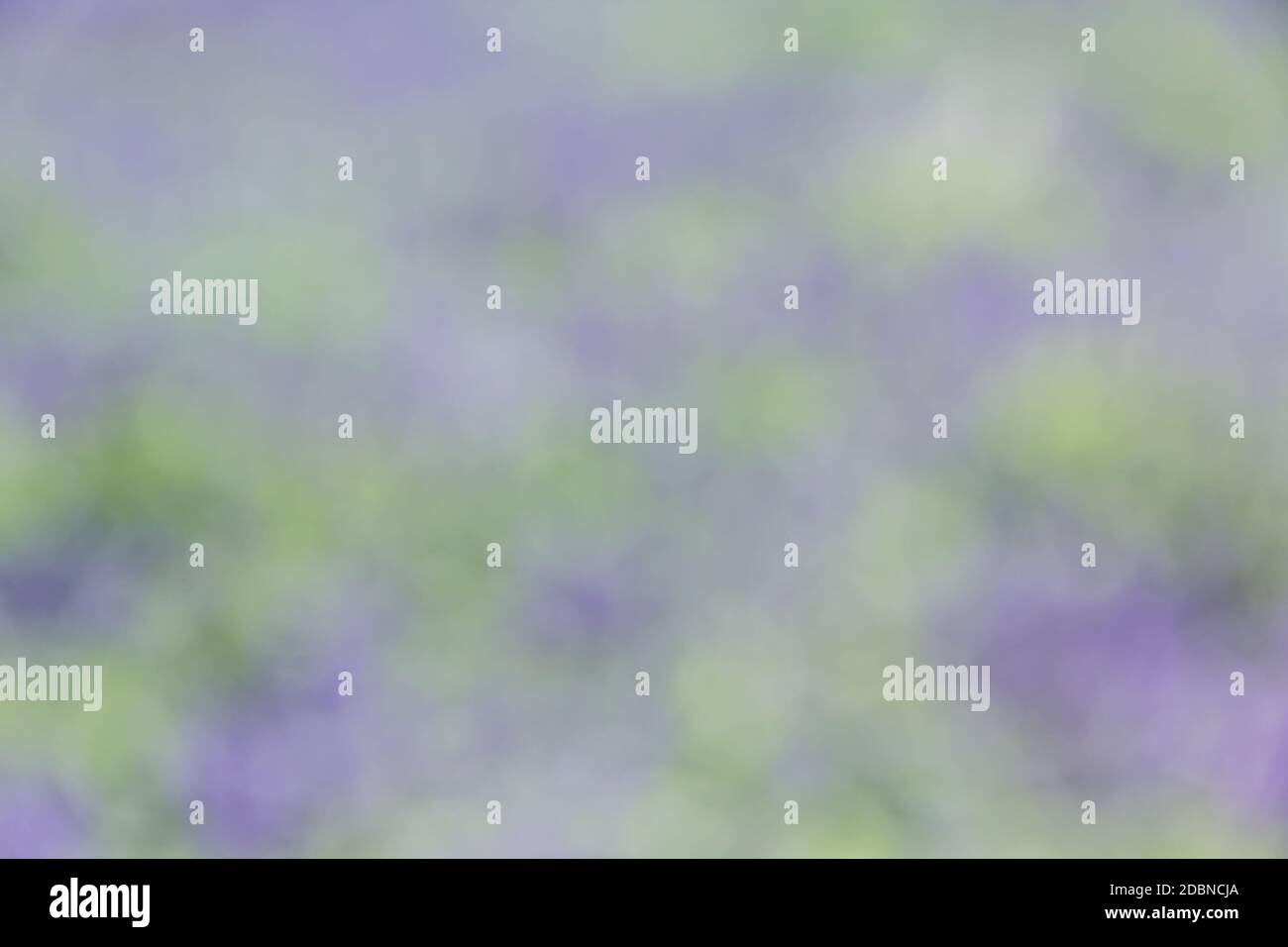 Abstract bokeh and blurred green nature background model is used to ...