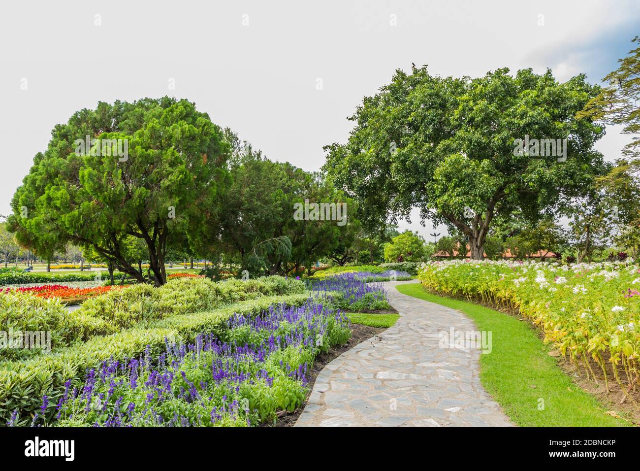 Park with trees and grass along the corridor with a beautiful flower ...