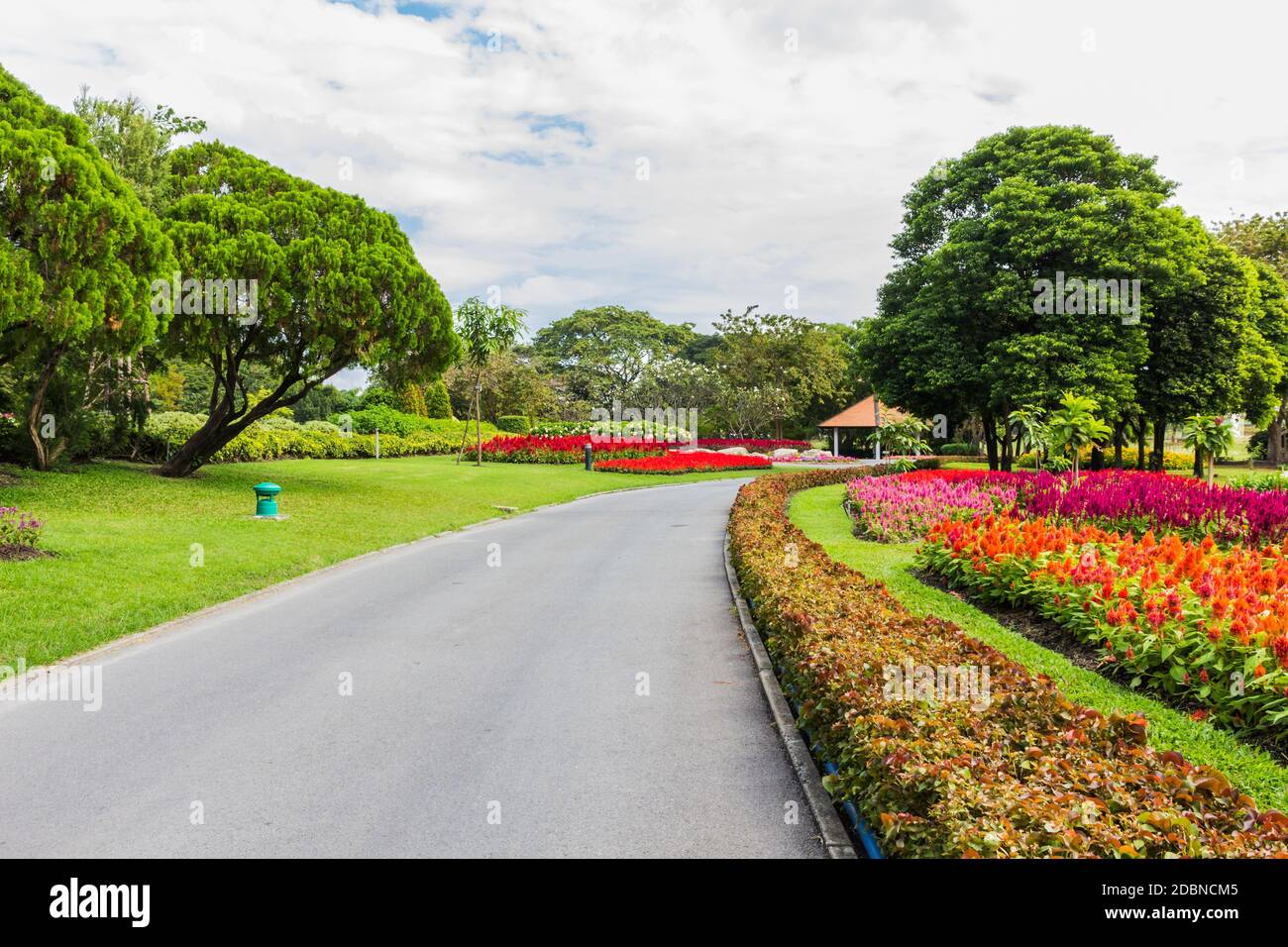 Park with trees and grass along the corridor with a beautiful flower ...