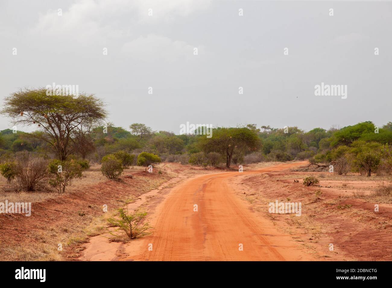 Tsavo west red soil hi-res stock photography and images - Alamy