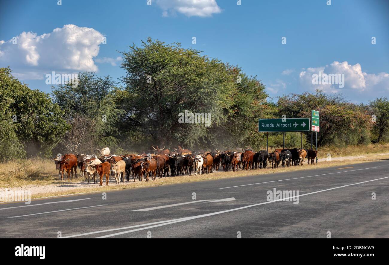 Rundu hi-res stock photography and images - Alamy
