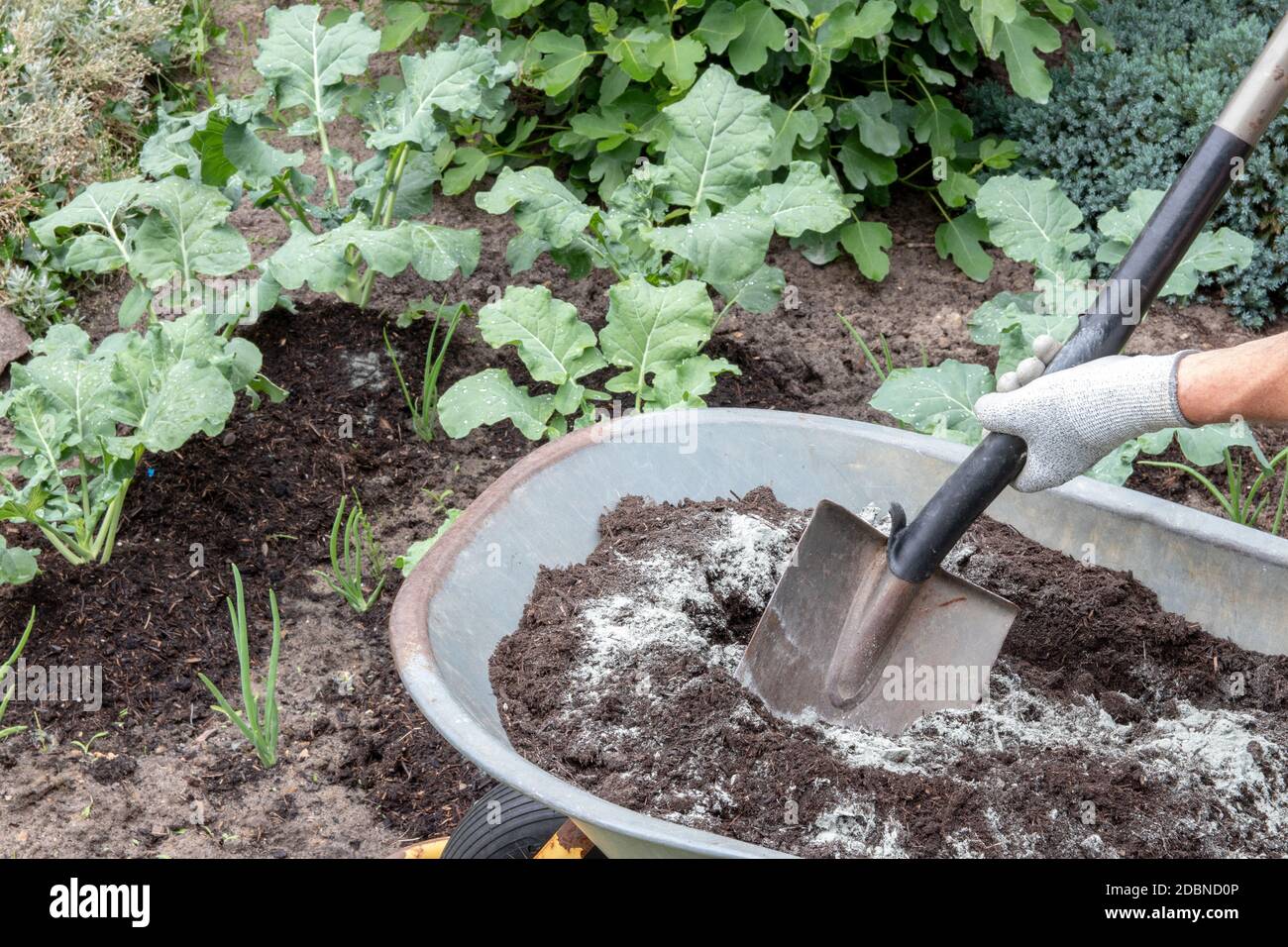 Rich basalt soil hi-res stock photography and images - Alamy