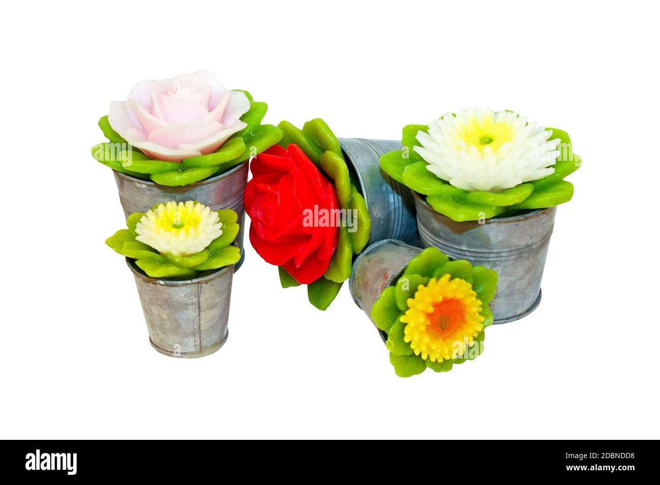 Flowers in cans isolated included clipping path Stock Photo - Alamy
