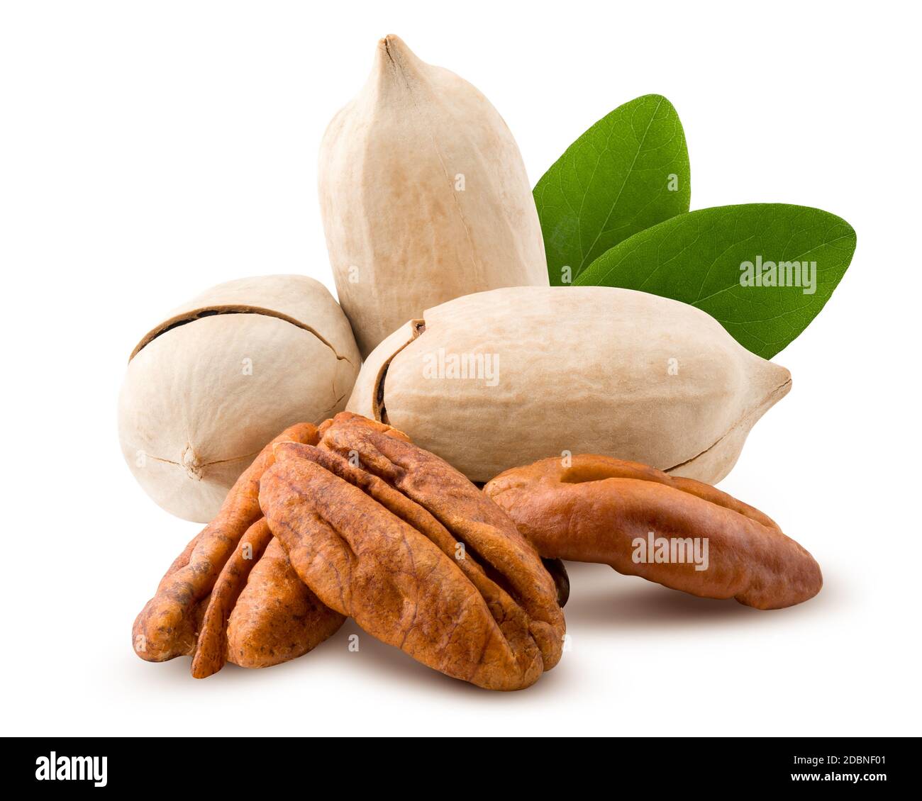 pecan, nut, isolated on white background, clipping path, full depth of ...