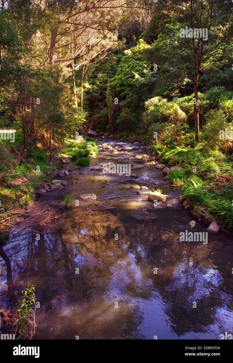 wild river view in Australia Stock Photo - Alamy
