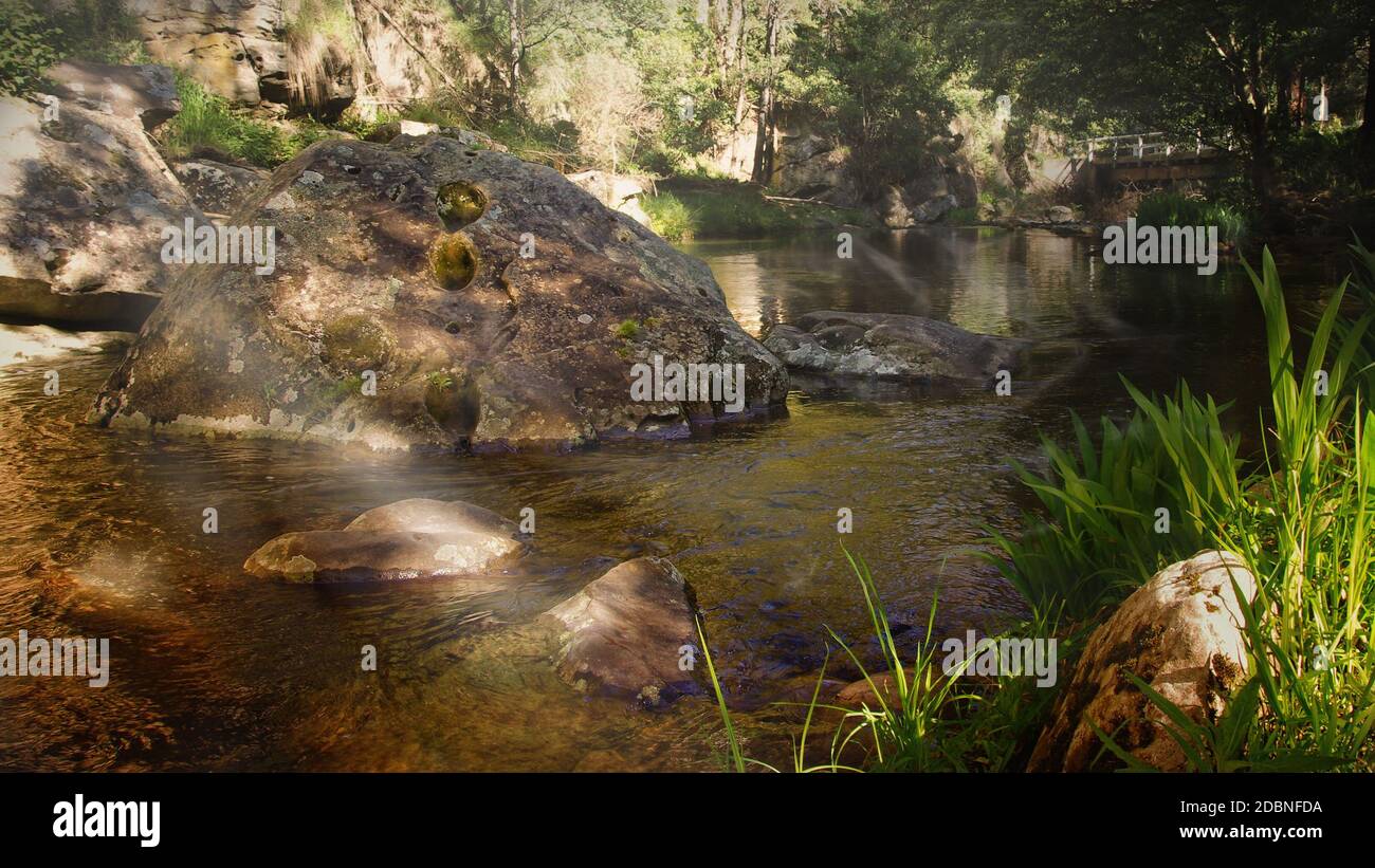 wild river view in Australia Stock Photo - Alamy