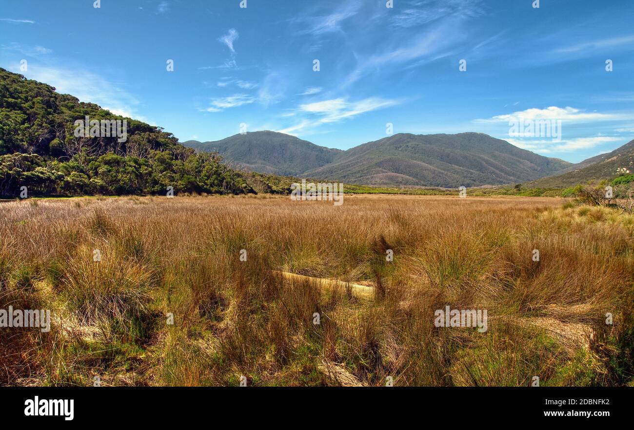 australian outback field with mounatains Stock Photo - Alamy