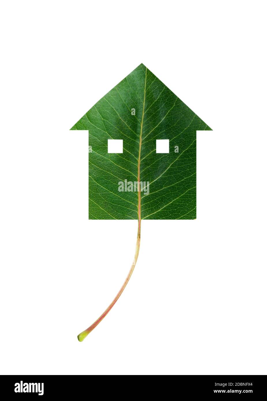 leaf in house shape. green life concept Stock Photo - Alamy
