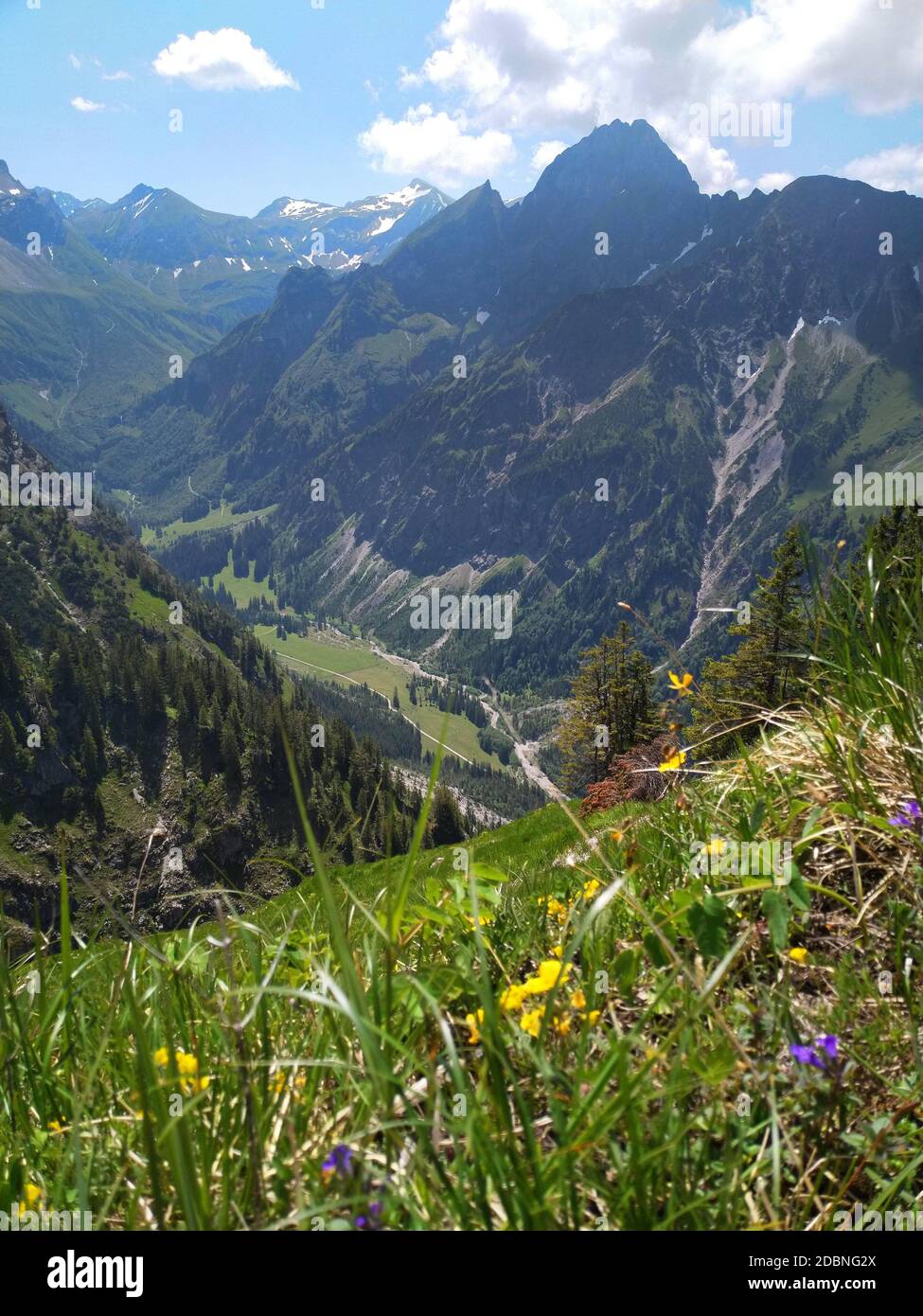 Bavaria nature hi-res stock photography and images - Alamy