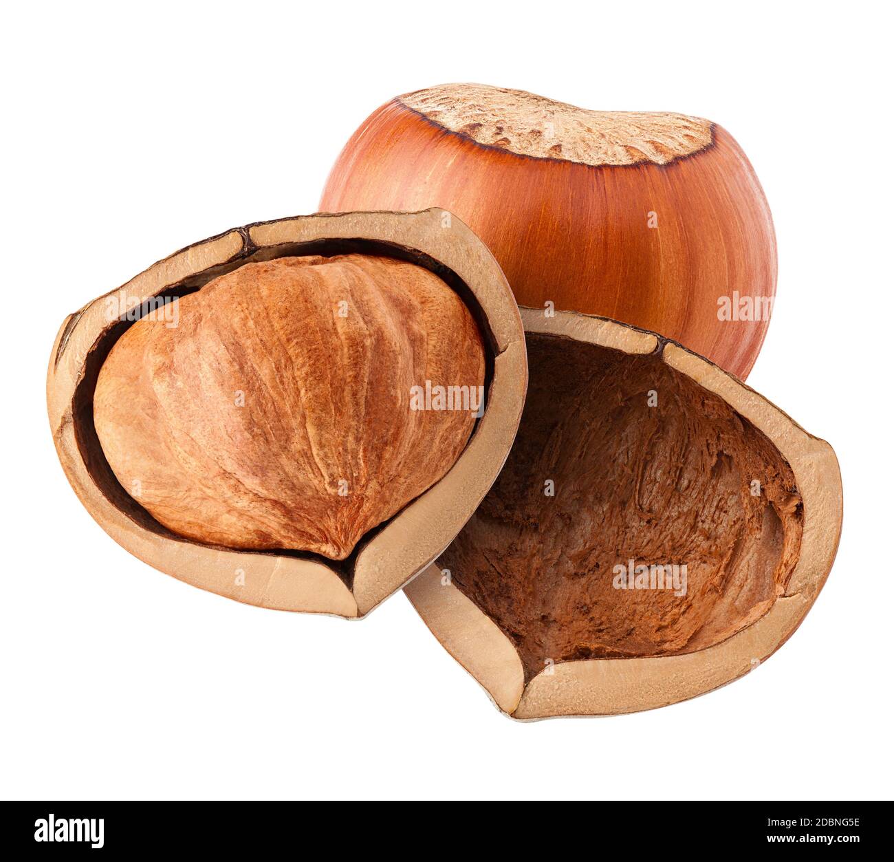hazelnut half isolated on white background, clipping path, full depth ...