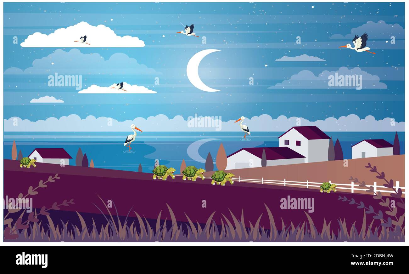 Forest scene in spring Cut Out Stock Images & Pictures - Alamy