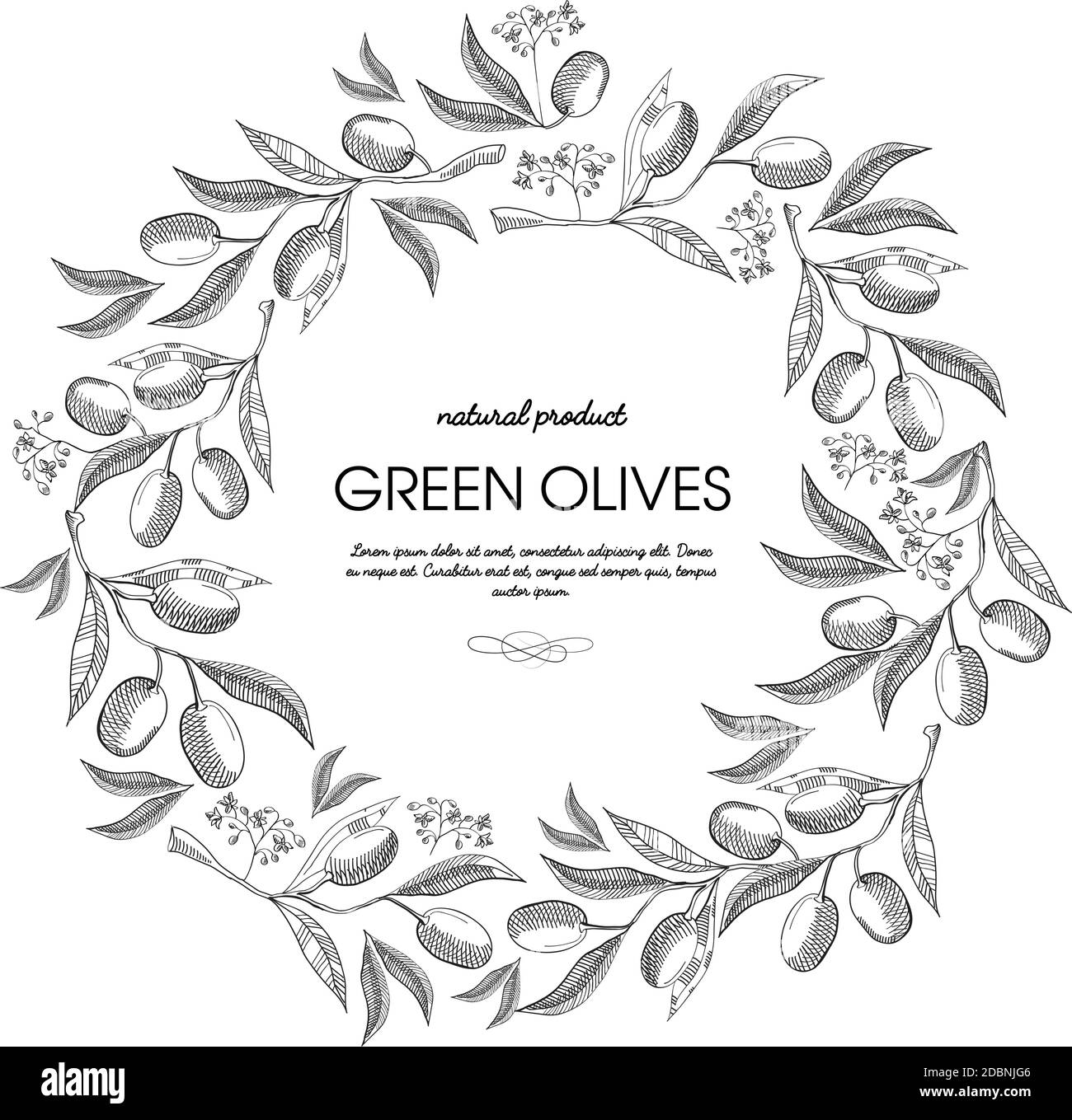 Circle wreath decorated berries sketch composition with sprig of olive ...