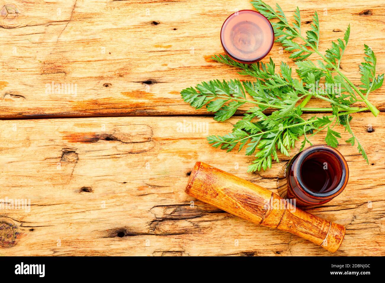 Extract or tincture from a wild carrots.Medicinal herbs Stock Photo - Alamy