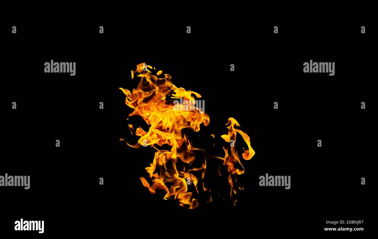 Fire flames on black background isolated. Burning gas or gasoline burns ...