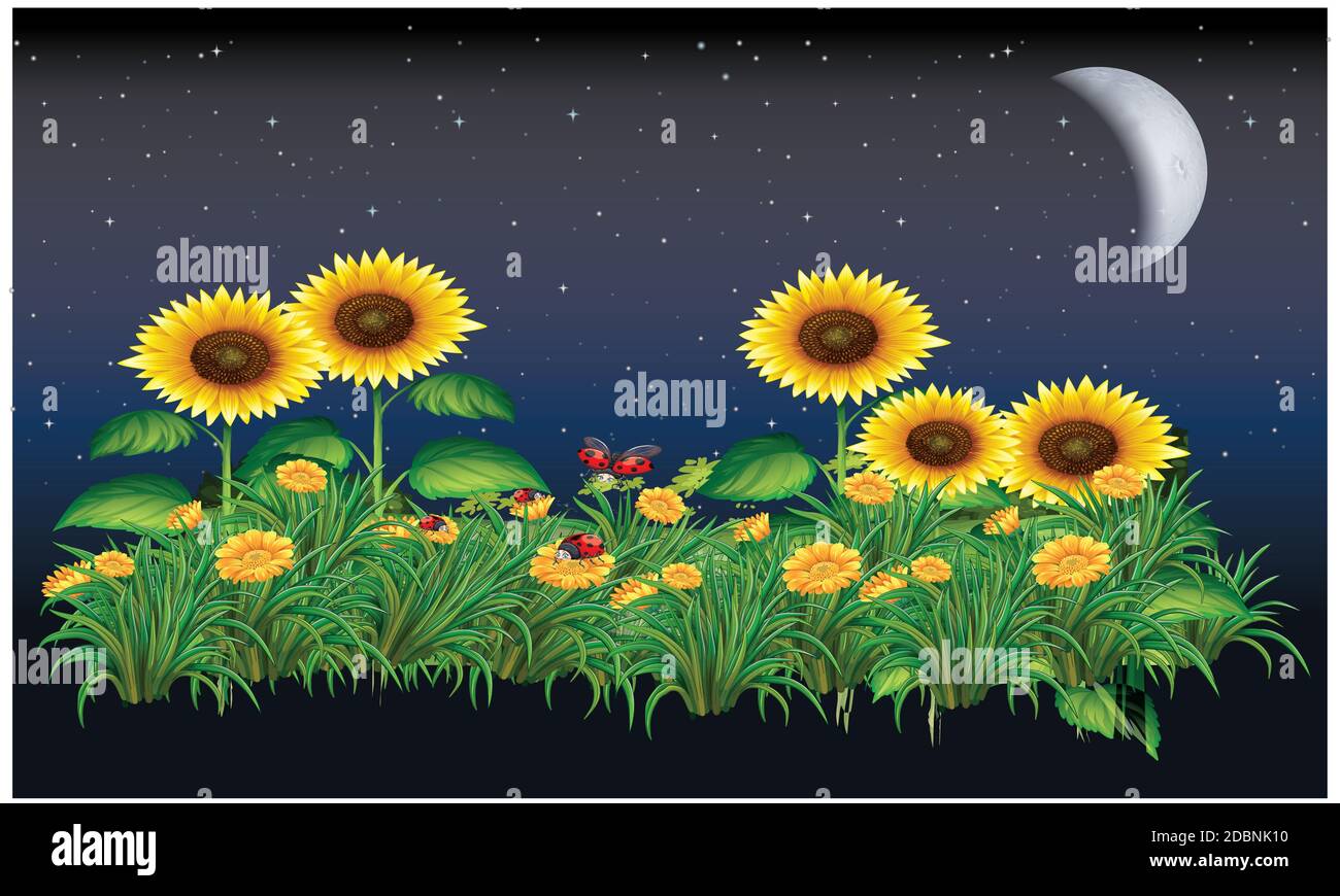 Deep in the night Cut Out Stock Images & Pictures - Alamy