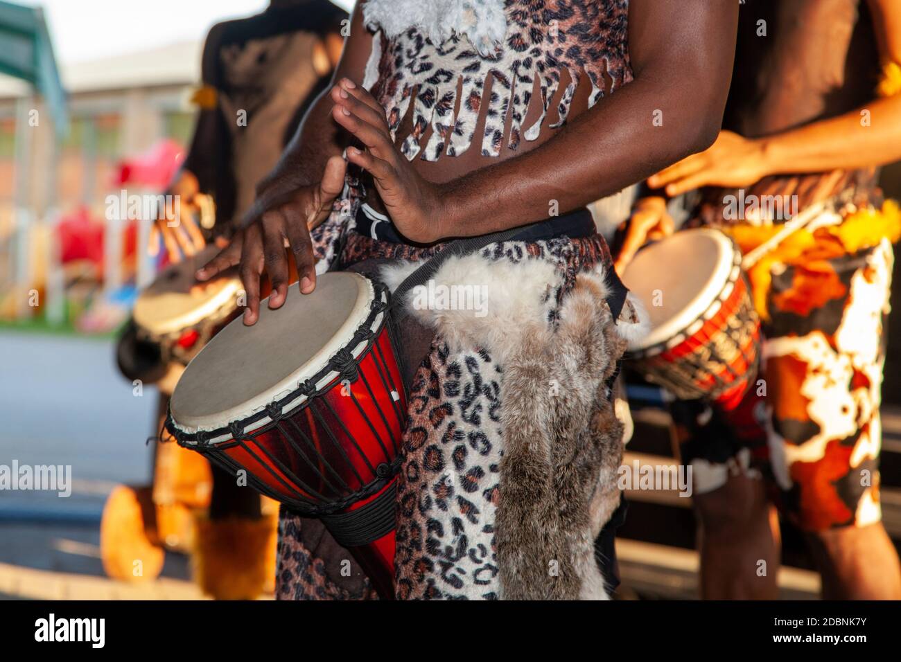An African drummer plays the djembe Stock Photo - Alamy