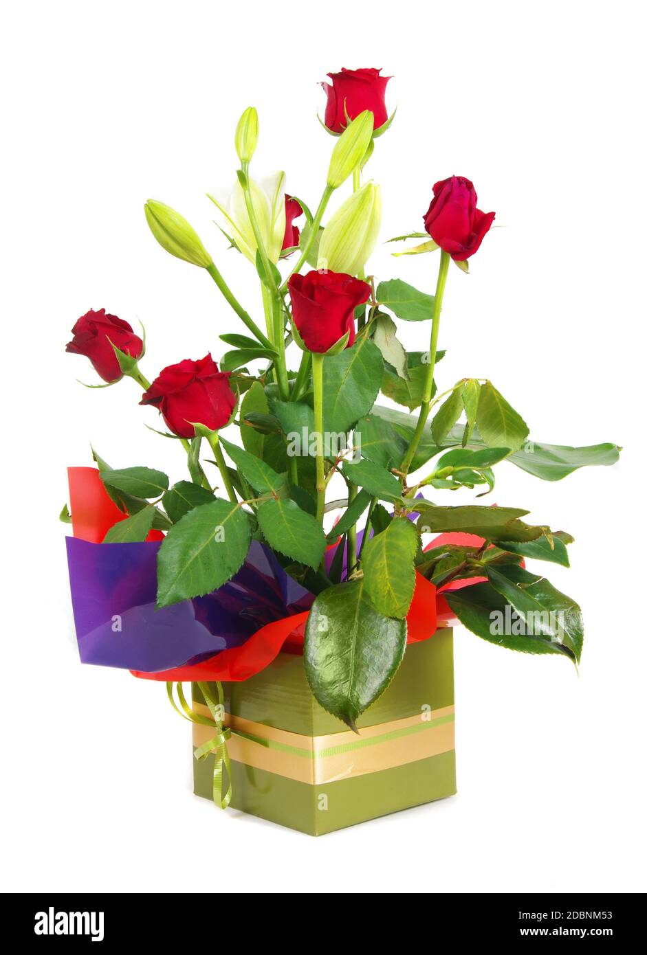 beautiful bright red roses closeup Stock Photo - Alamy