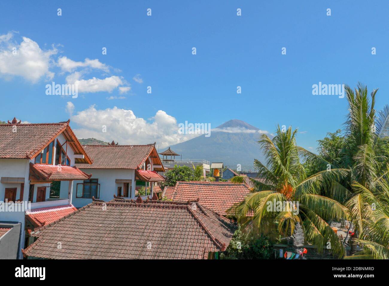 Tropical paradise with palm trees and majestic volcano in the ...