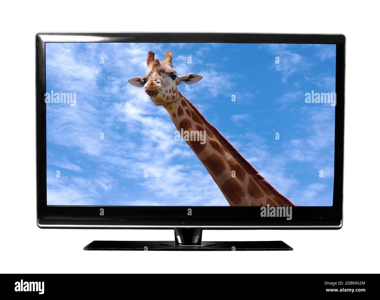 The zoo tv show hi-res stock photography and images - Alamy